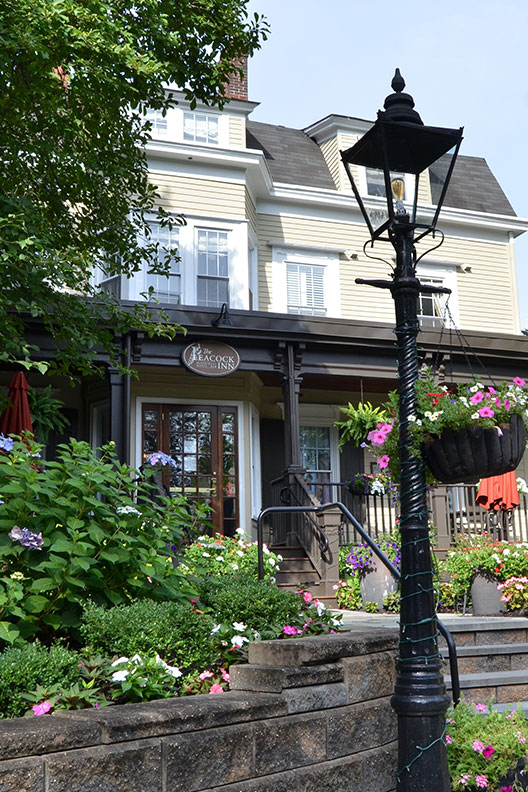 Gallery | The Peacock Inn